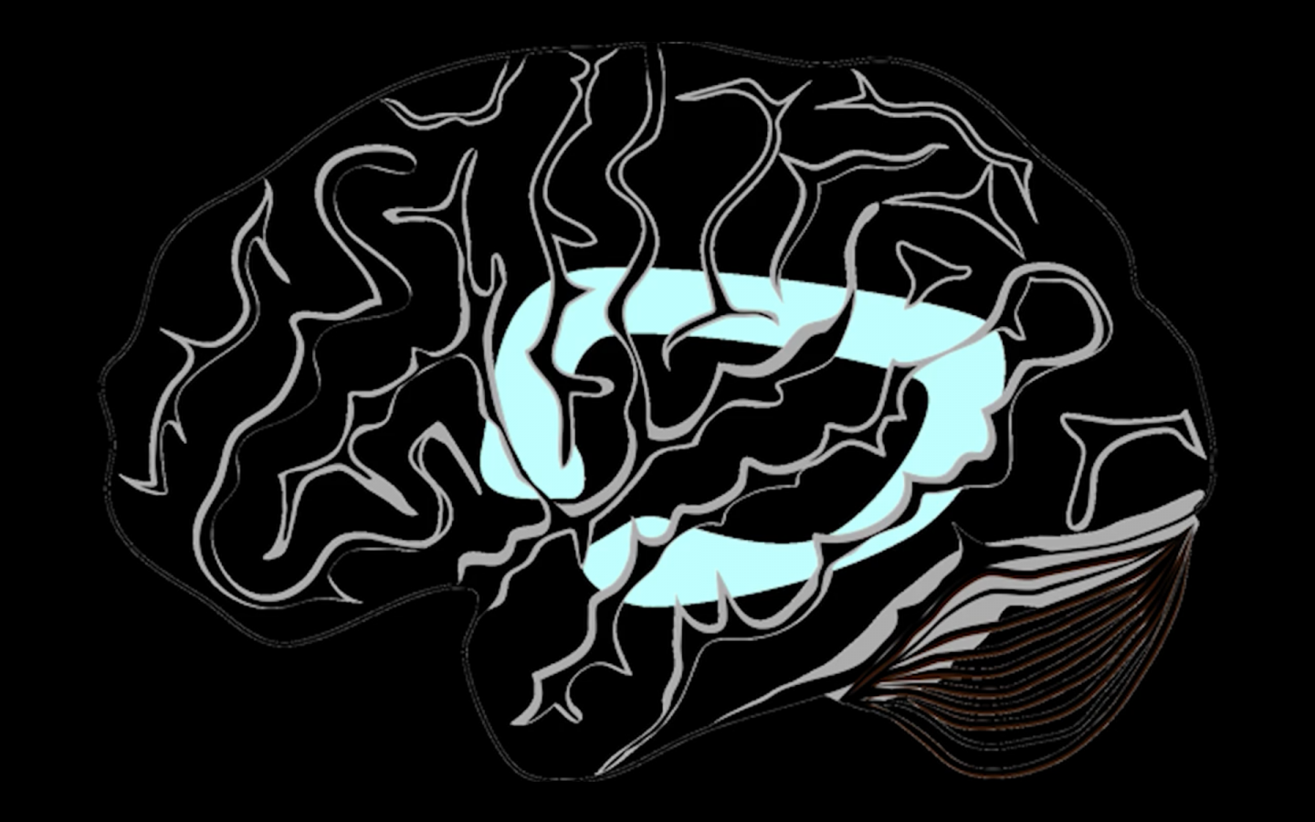 Your Brain on Conflict » Resources | GovLoop