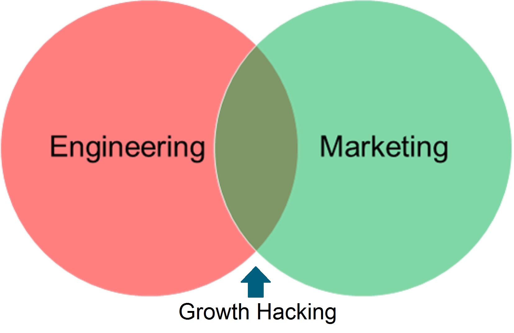 Growth Hacking: Using Silicon Valley’s Playbook to Achieve Government Missions » Community | GovLoop