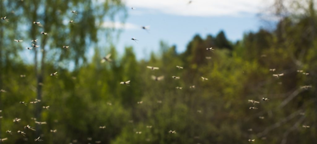 Breaking Bad Habits is Like Killing Flies » Community | GovLoop