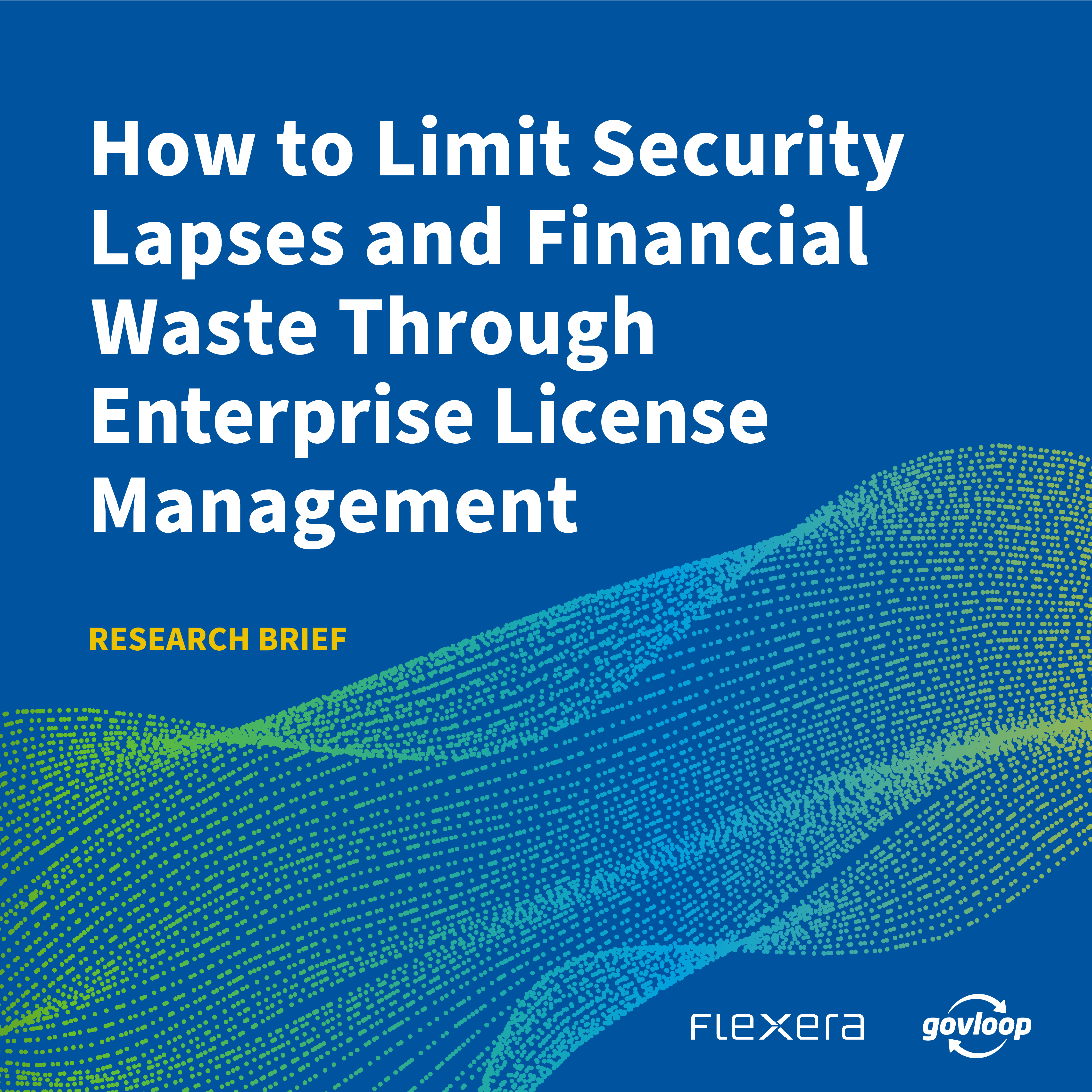 How to Limit Security Lapses and Financial Waste Through Enterprise ...