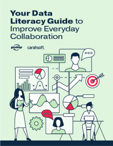 Your Data Literacy Guide to Improve Everyday Collaboration » Resources | GovLoop