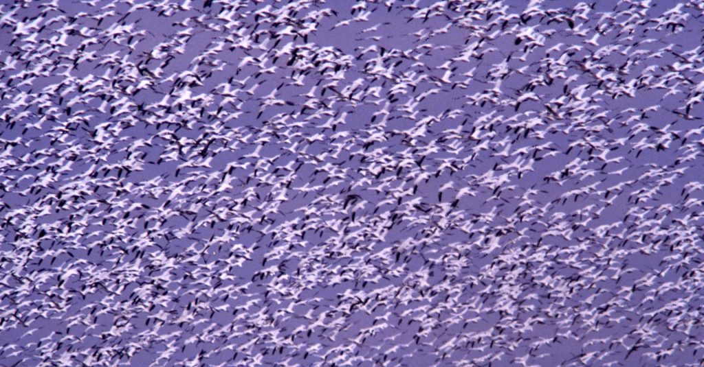 Change Is Hard — Which Is Why We Need to Find Better Ways to Solve ...