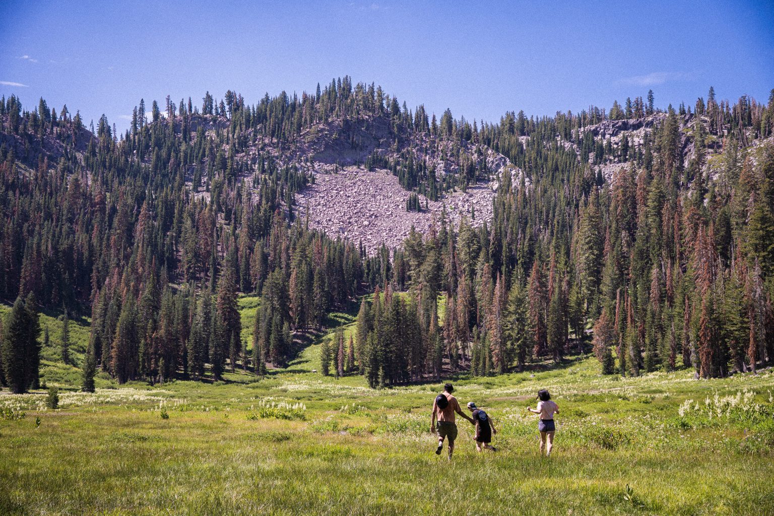 How to Celebrate National Park Week » Posts | GovLoop