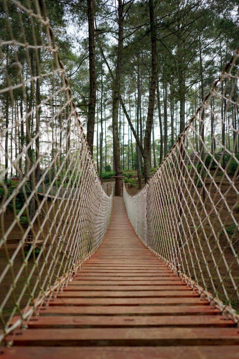 Leverage Your ROPE Bridge » Community | GovLoop