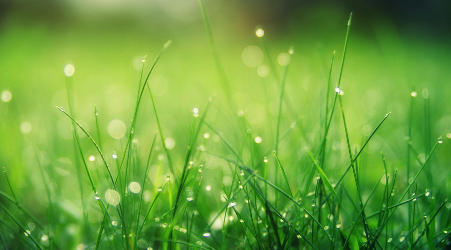 Gratitude: Why It Matters and How to Discover It in Everyday Life » Community | GovLoop